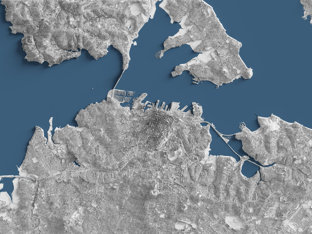 Auckland New Zealand Lidar Shaded Relief – Visual Wall Maps Studio