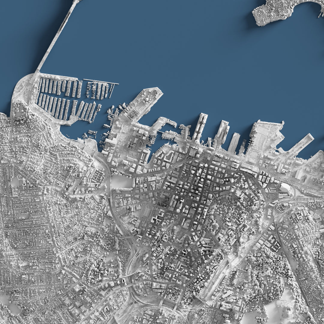 Auckland New Zealand Lidar Shaded Relief – Visual Wall Maps Studio