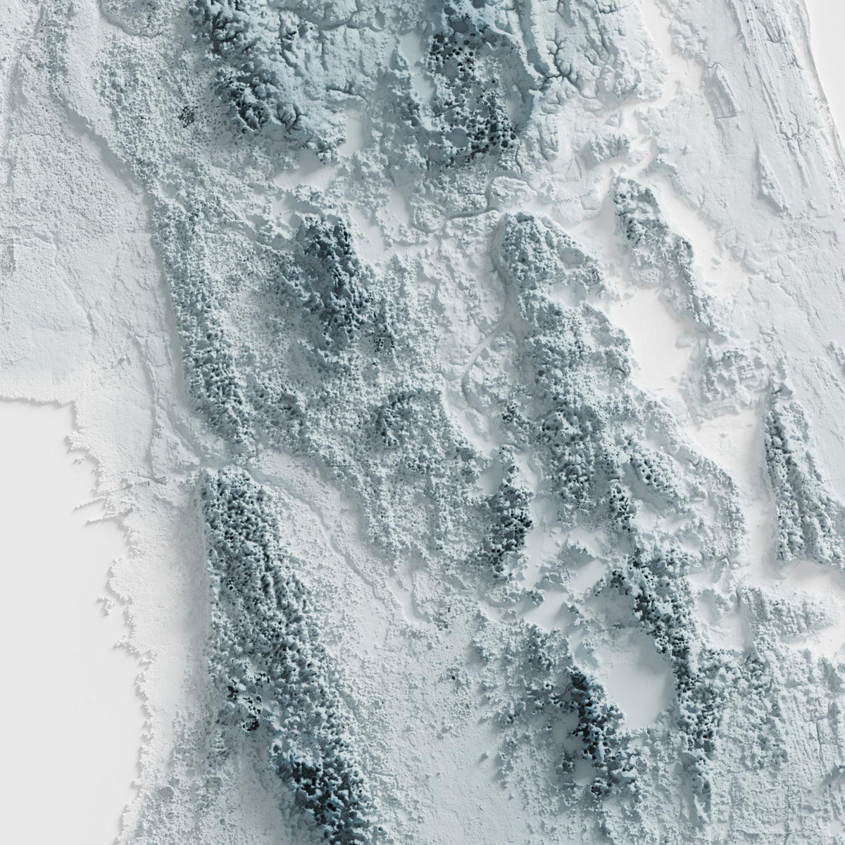 Florida Shaded Relief – Visual Wall Maps Studio