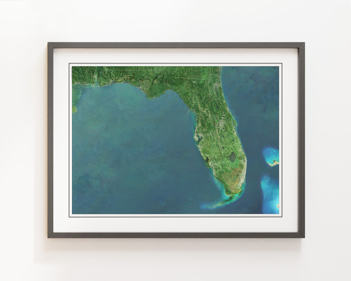Florida Imagery Shaded Relief – Visual Wall Maps Studio