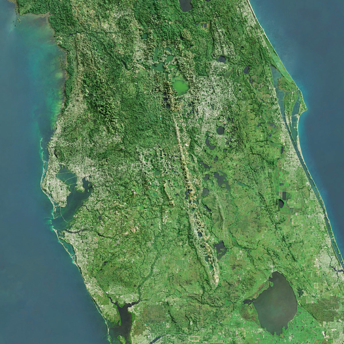 Florida Imagery Shaded Relief – Visual Wall Maps Studio
