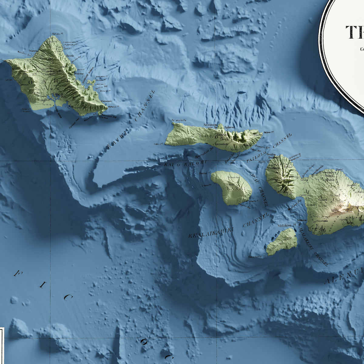 Hawaii topographical map